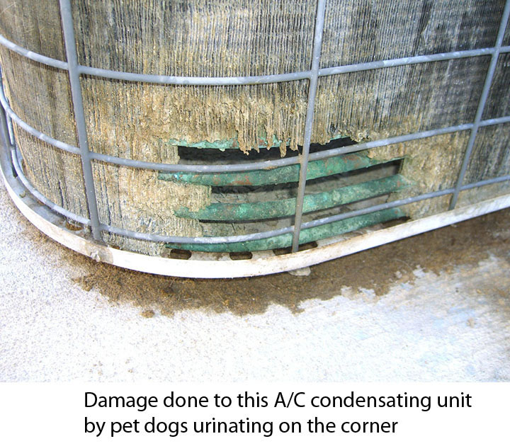 Can Water Damage An Ac Unit at Fred Rollins blog